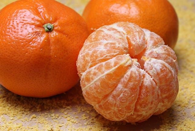 SA citrus exports set for growth despite global risks and logistics ...