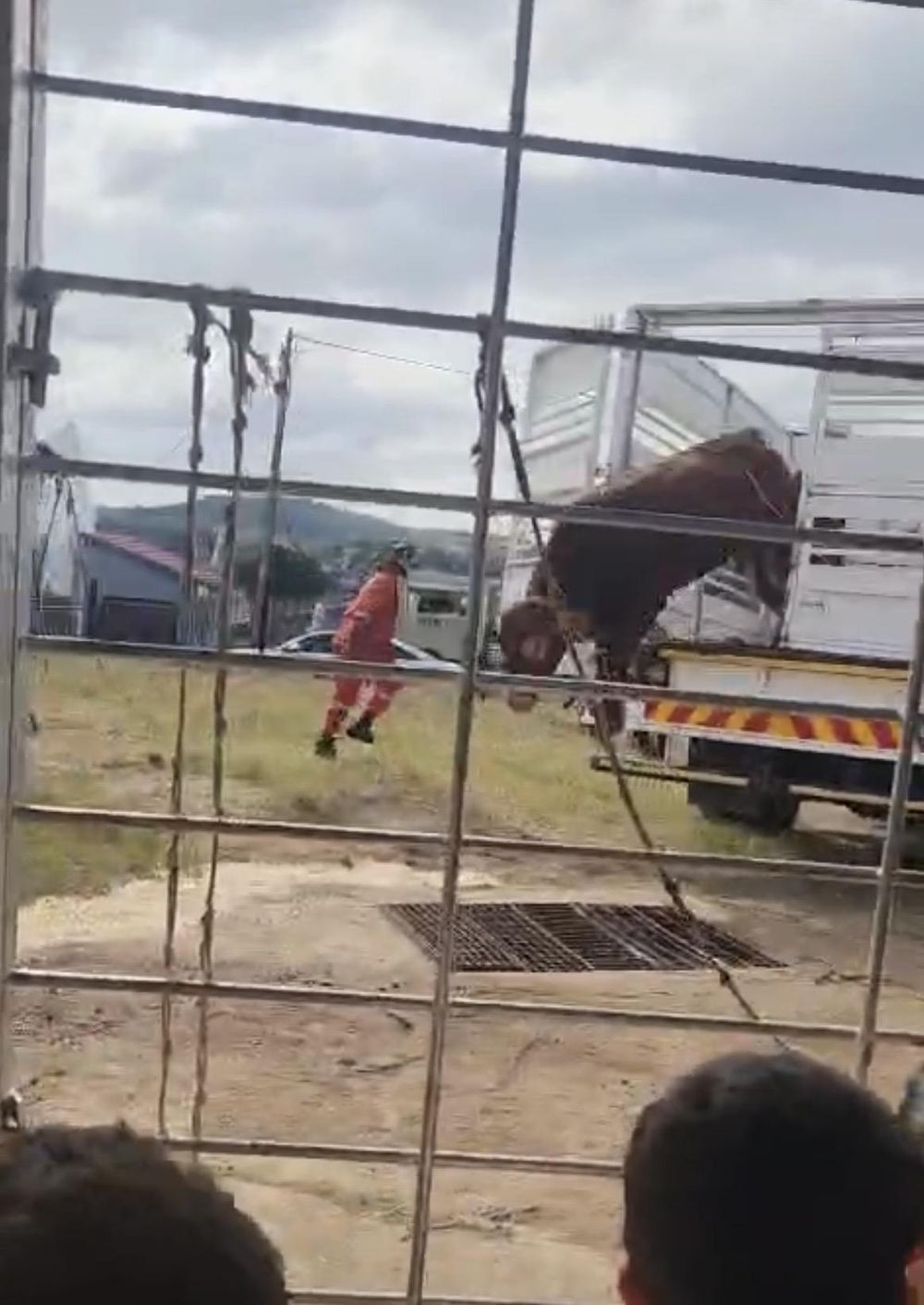 Tragic shooting incident claims life of 12-year-old girl during qurbani ...