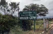 Semi-automatic rifles and 104 bullets: Security officers arrested for ...