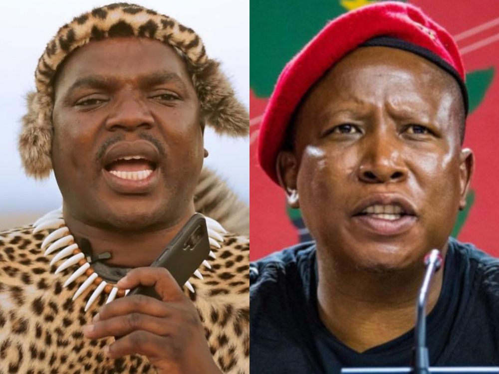 Ngizwe Mchunu issues apology to Court and Malema after being found ...