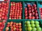 Grain SA rejects ITAC decision to keep wheat tariff reference price ...